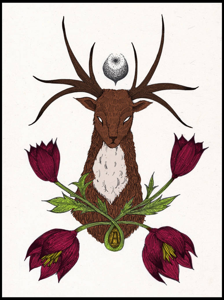 Deer Coat of Arms (color version) by albertpt on DeviantArt