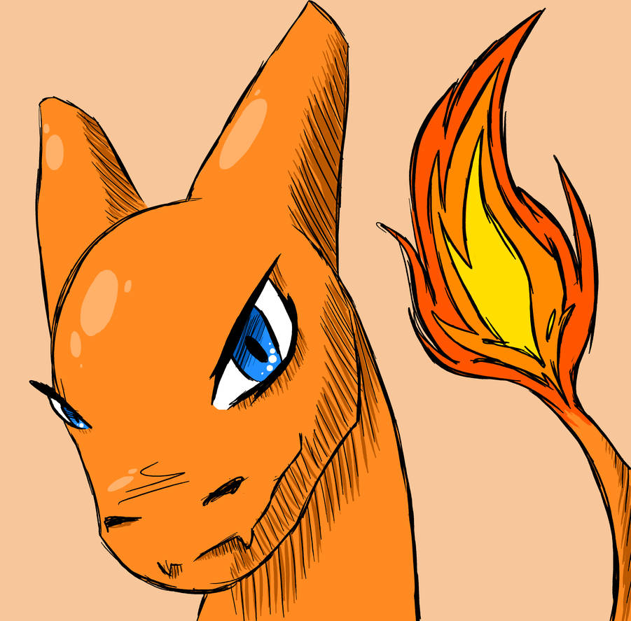 Charizard by Giantchocolatecat on DeviantArt