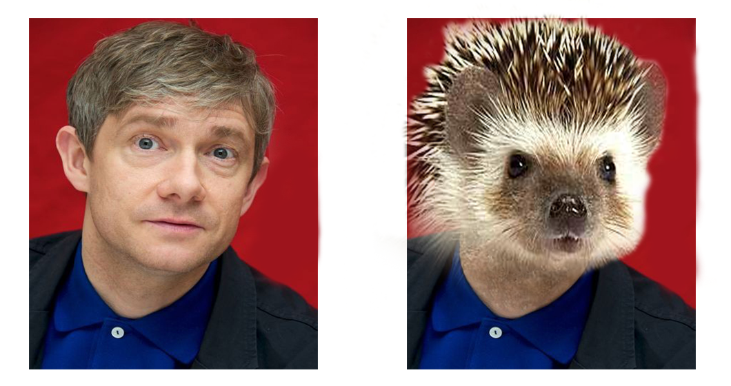 Watson Hedgehog Meme
