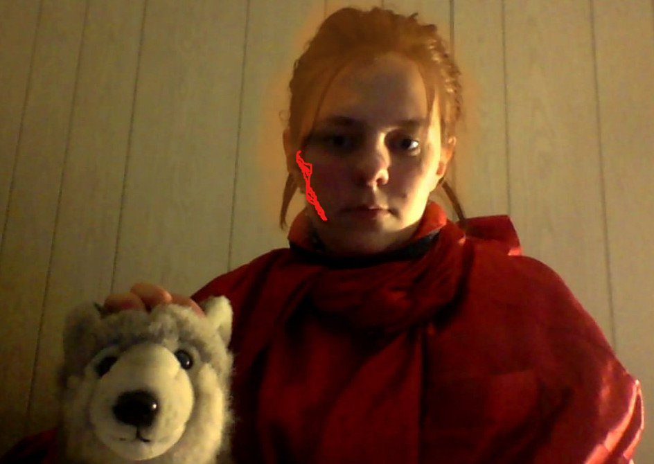 Larten Crepsley and Streak by archangelmephisto124 on DeviantArt