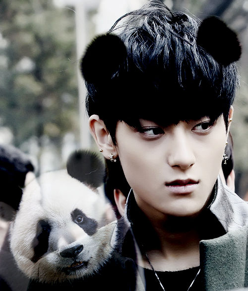 EXO Panda Tao by Deedee78965 on DeviantArt