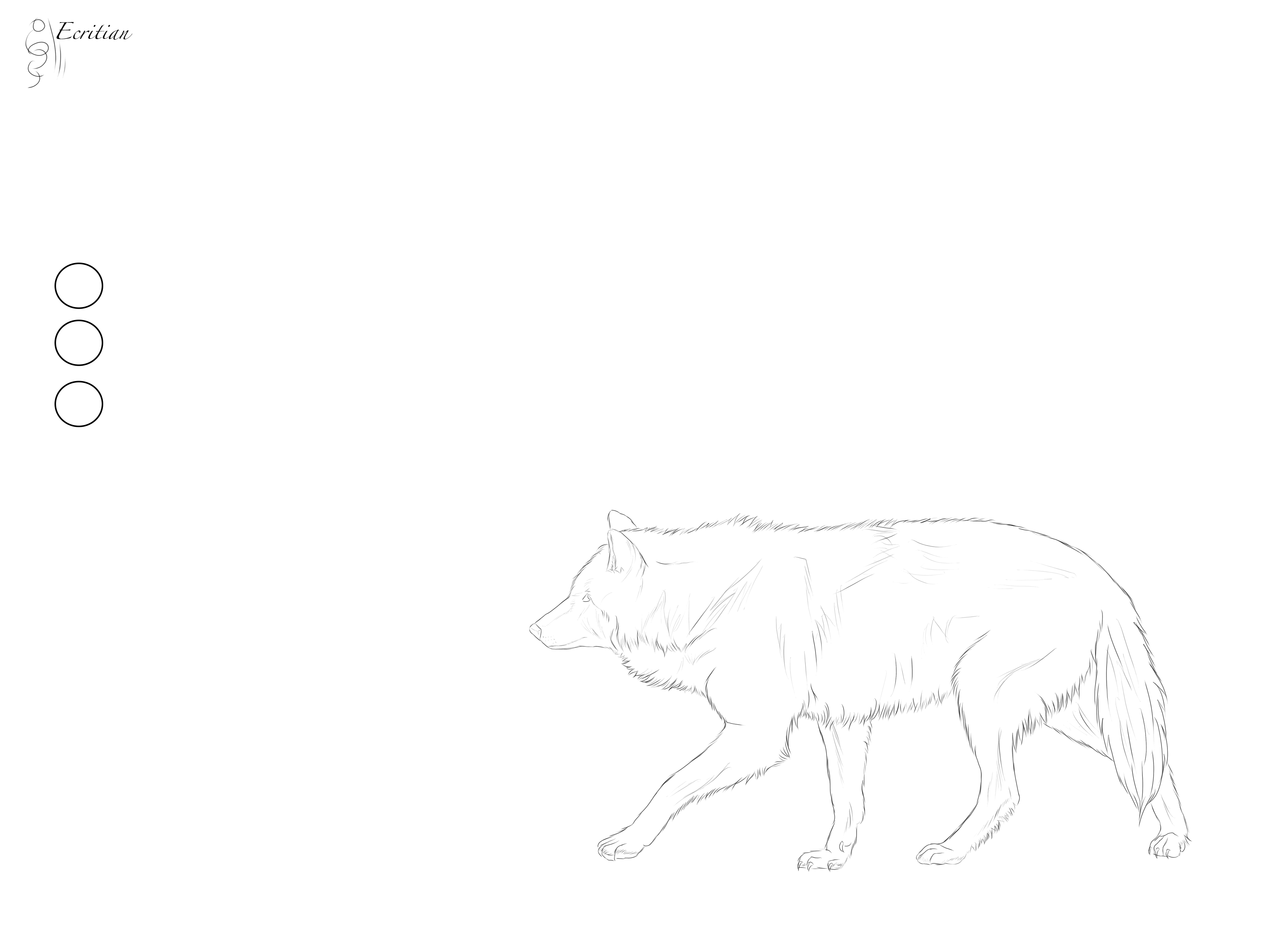 Wolf Character Sheet Lineart