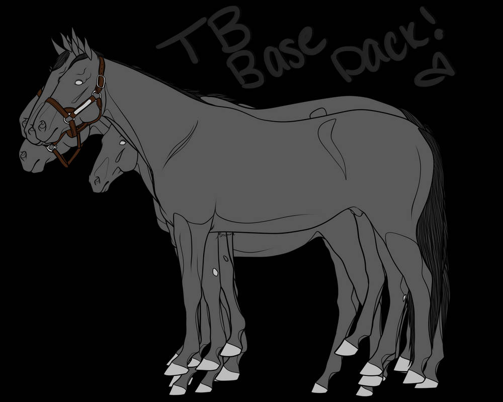Thoroughbred Base/Lineart Pack | P2U (five bases!) by jetblackpatriot ...