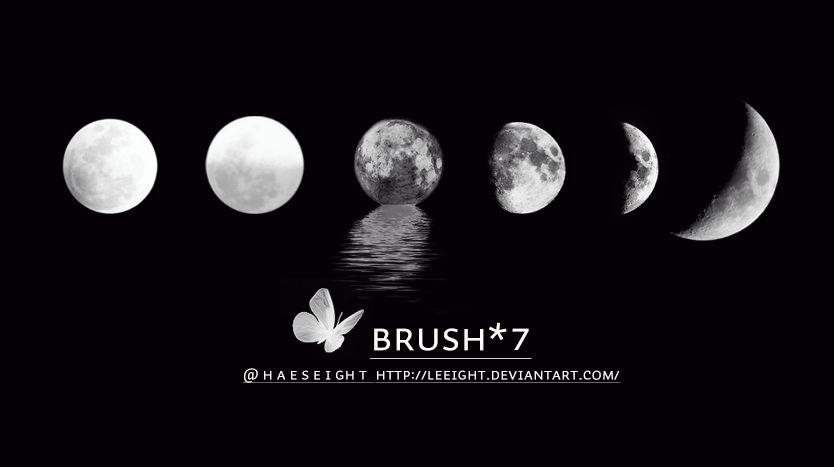 moon Butterfly brushes7 by LeEight on DeviantArt