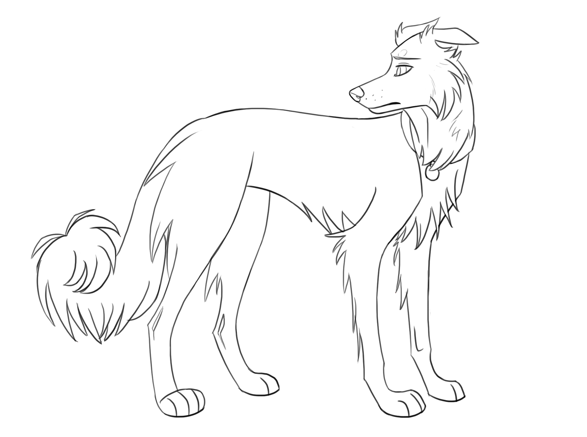 Border Collie Line Art