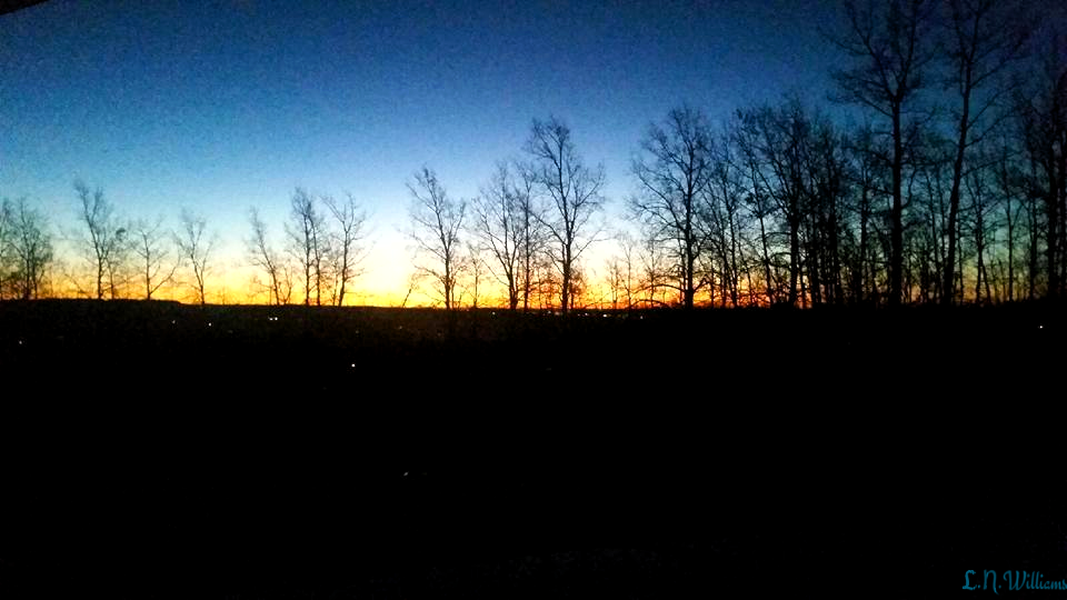 FSJ Light by Lea-Bob on DeviantArt