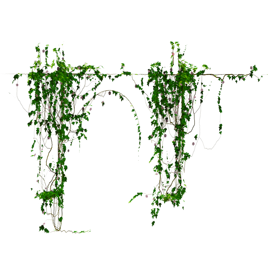 vines 2 by r08r17 on DeviantArt