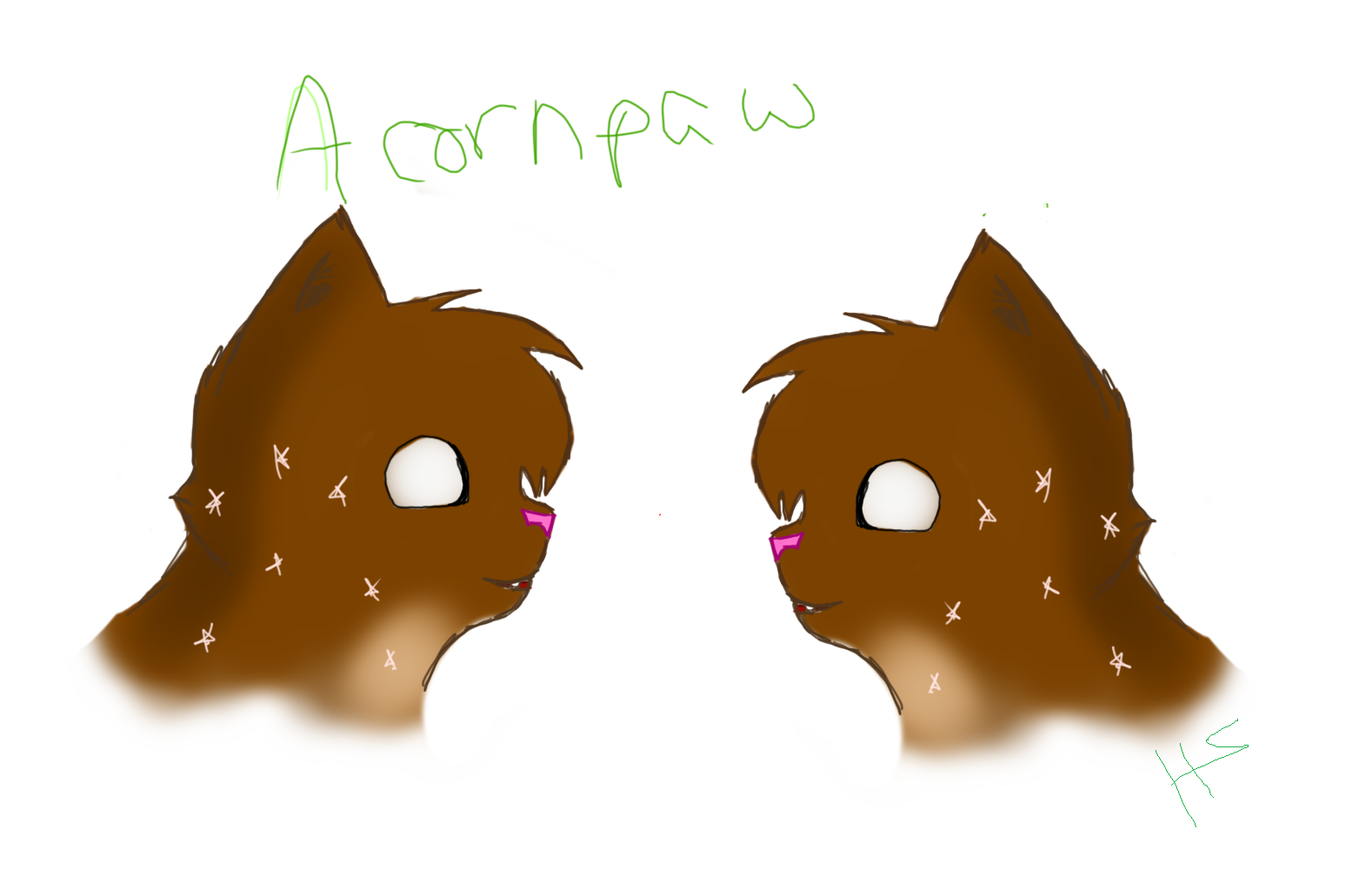 Acornpaw by FamousG on DeviantArt