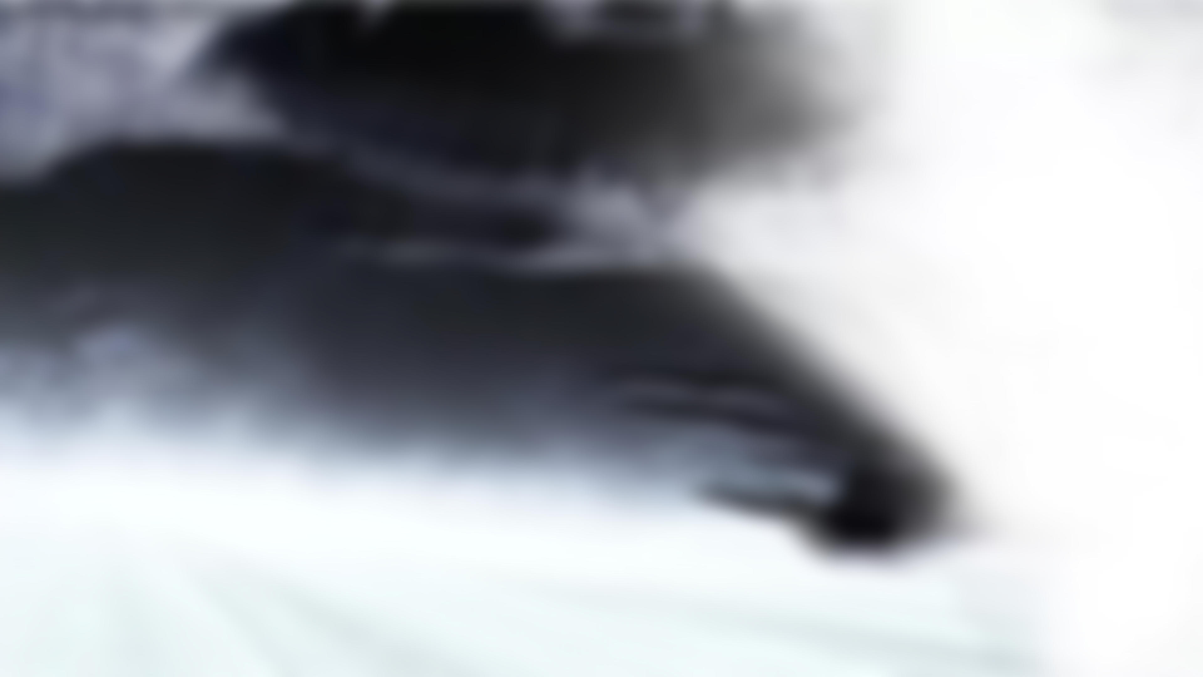 Space Dragon - Scene Animation #2 by ERA7 on DeviantArt