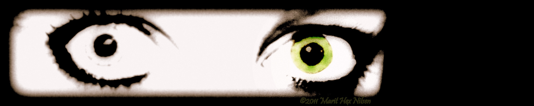 Shape Tween Animation by marithex on DeviantArt