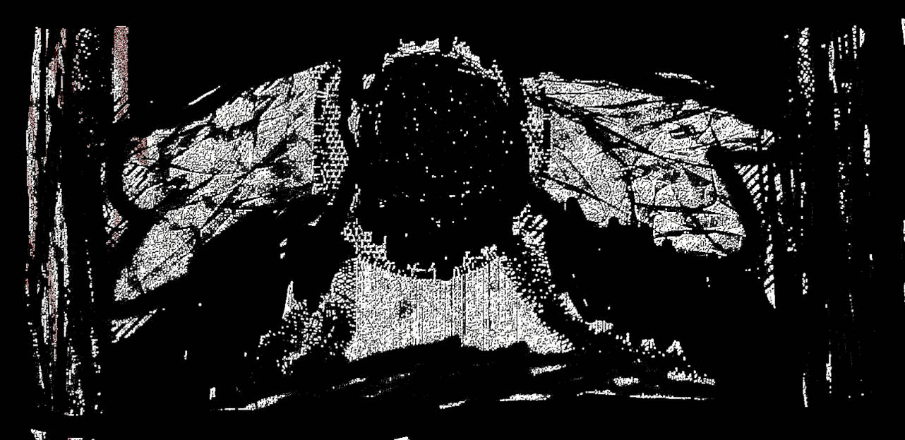 Full Ultima Symbol by jjjayvijayvion1 on DeviantArt