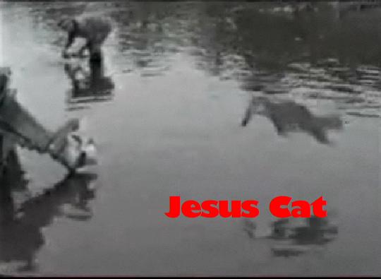 jesus cat by geeksedentario on DeviantArt