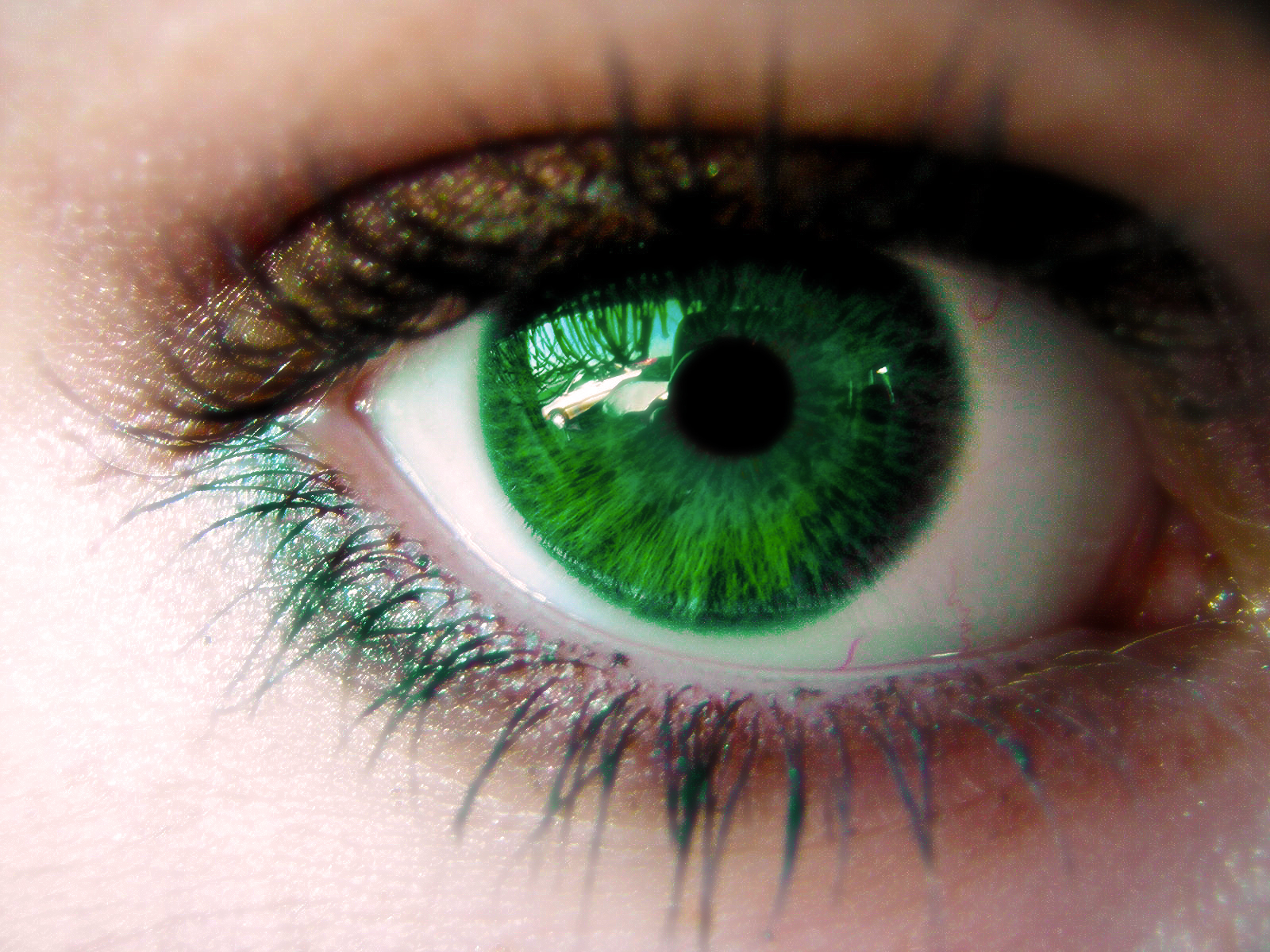 Green Eye - Day 2 by Pokehkins on DeviantArt