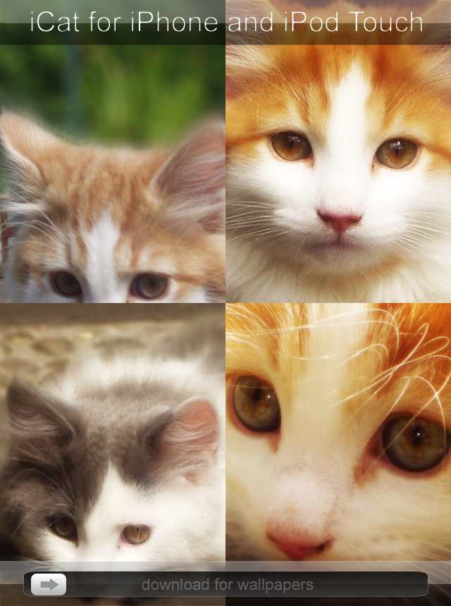 iCat by Pokehkins on DeviantArt