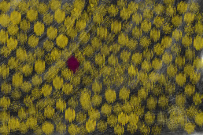 Misty's world by kiwigrrbubbles on DeviantArt