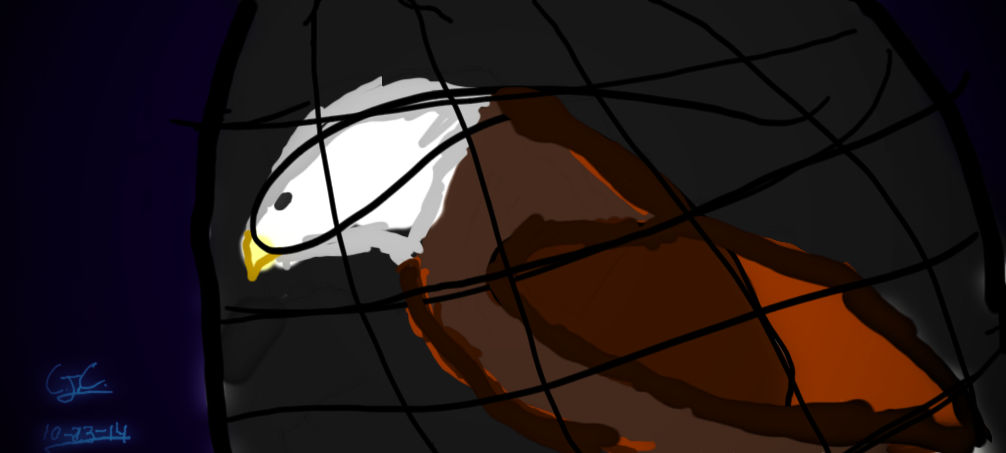 JailBird by CarriePlasma on DeviantArt