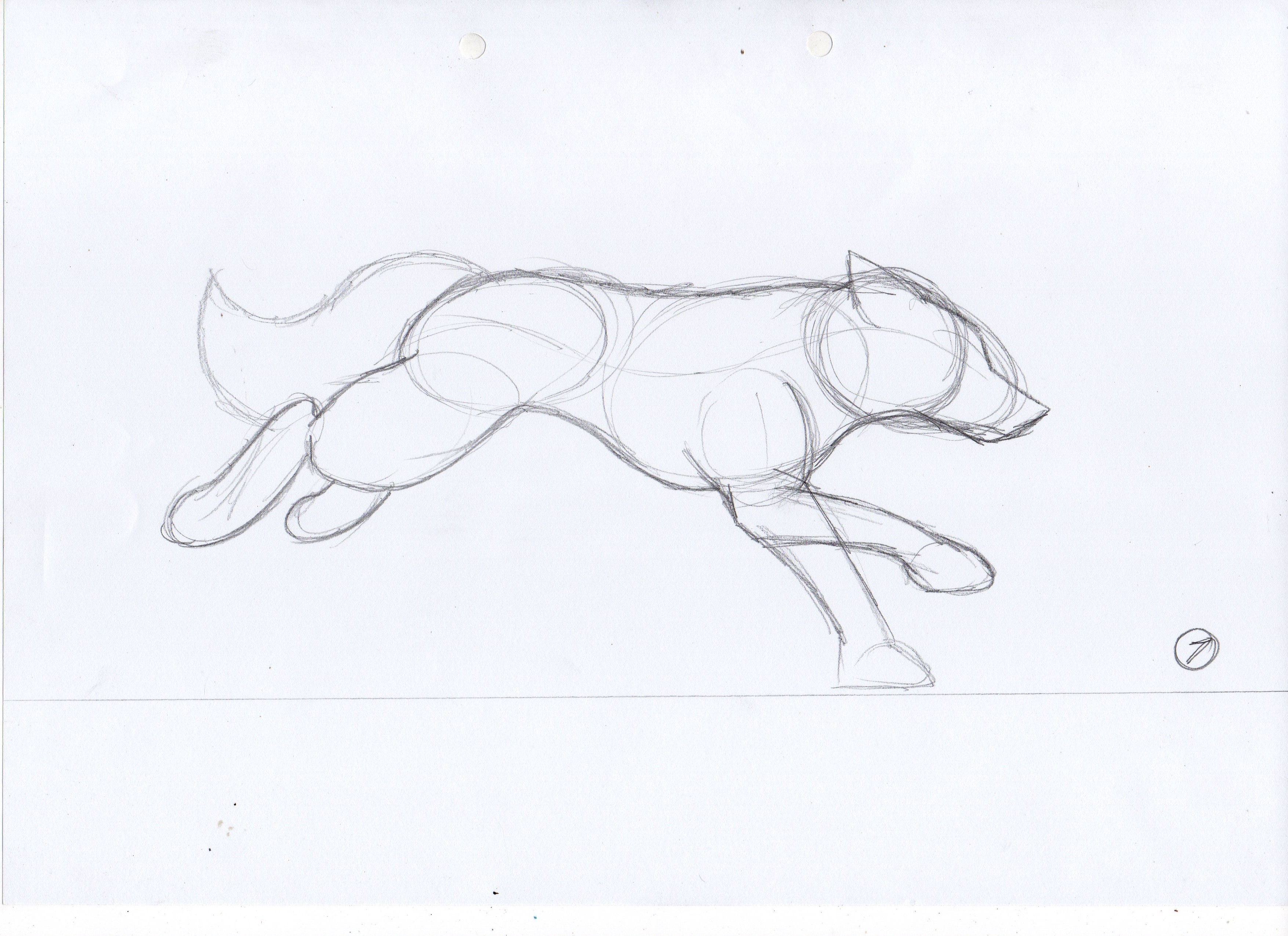 Wolf Run Cycle(Rough) by FoxRir on DeviantArt