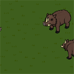 Wild Boar Art by MezzanineStairs on DeviantArt