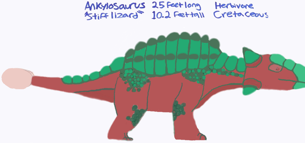 Ankylosaurus by tcr11050 on DeviantArt