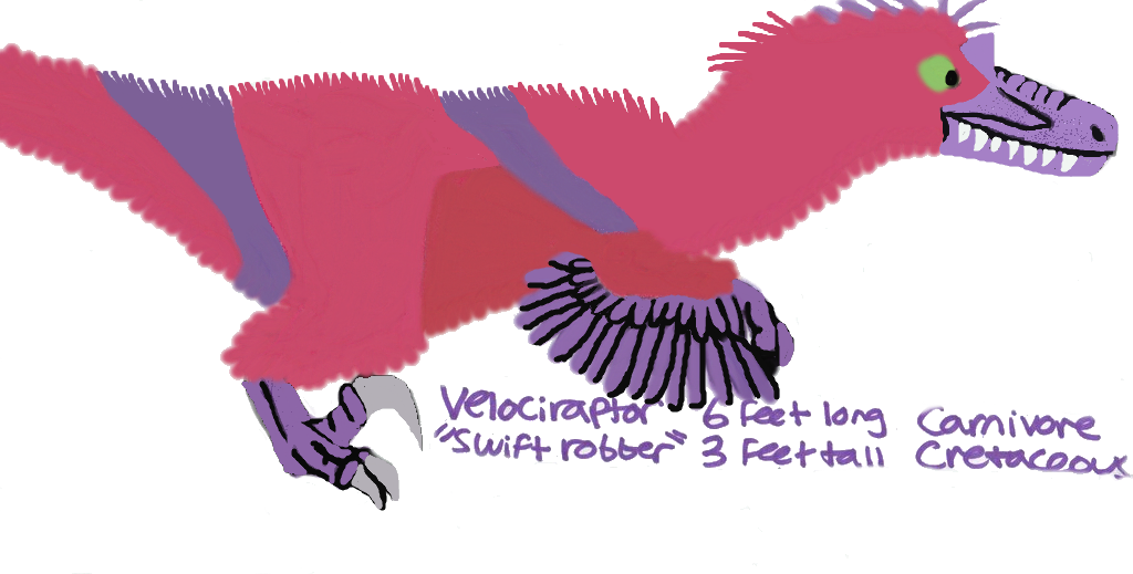 Velociraptor by tcr11050 on DeviantArt
