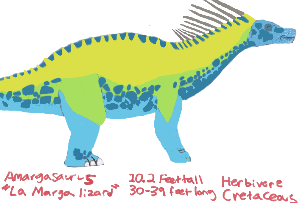 Amargasaurus Dinosaur Train