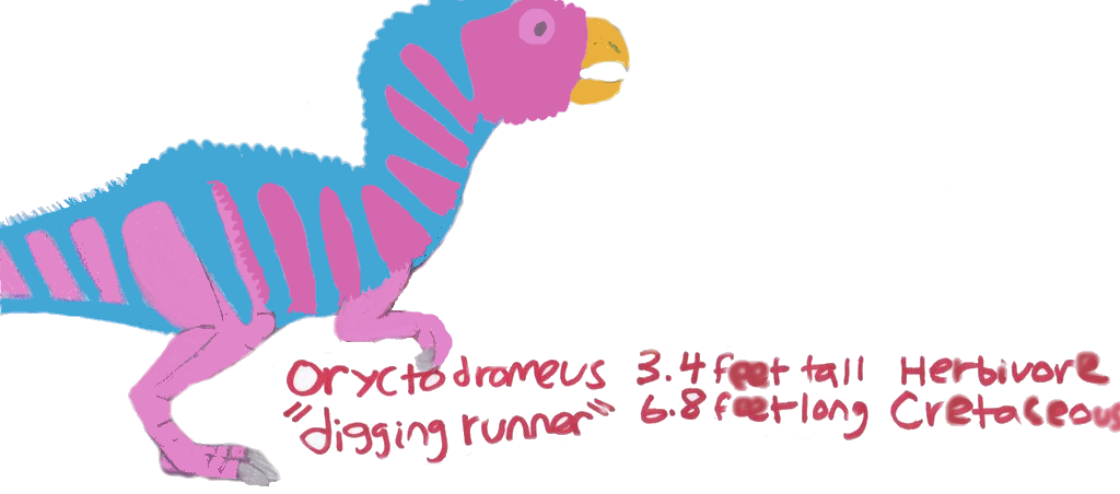 Oryctodromeus by tcr11050 on DeviantArt