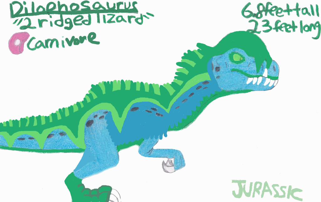 Dilophosaurus by tcr11050 on DeviantArt