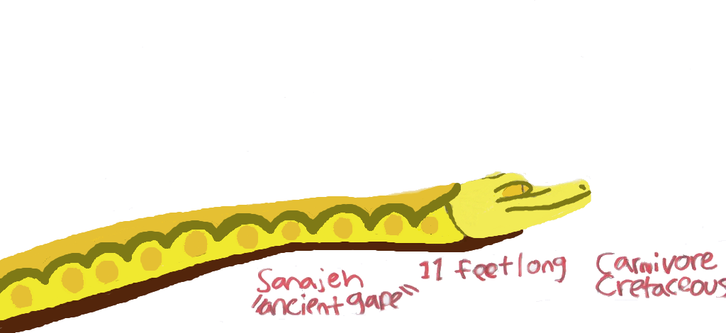 Sanajeh by tcr11050 on DeviantArt