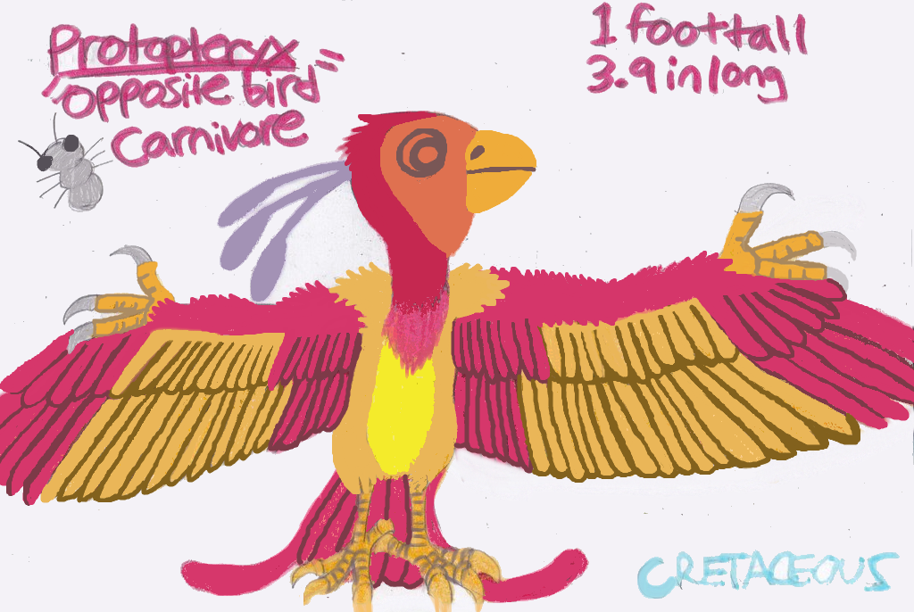Protopteryx by tcr11050 on DeviantArt