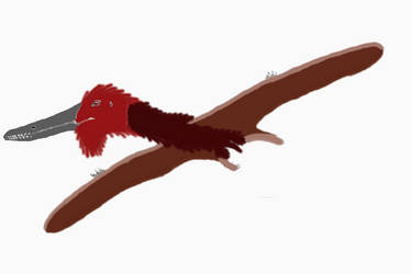 Explore the Best Istiodactylus Art | DeviantArt