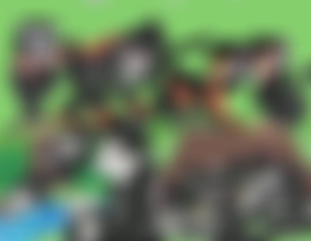 Jungle Book Transformation 2 by tcr11050 on DeviantArt