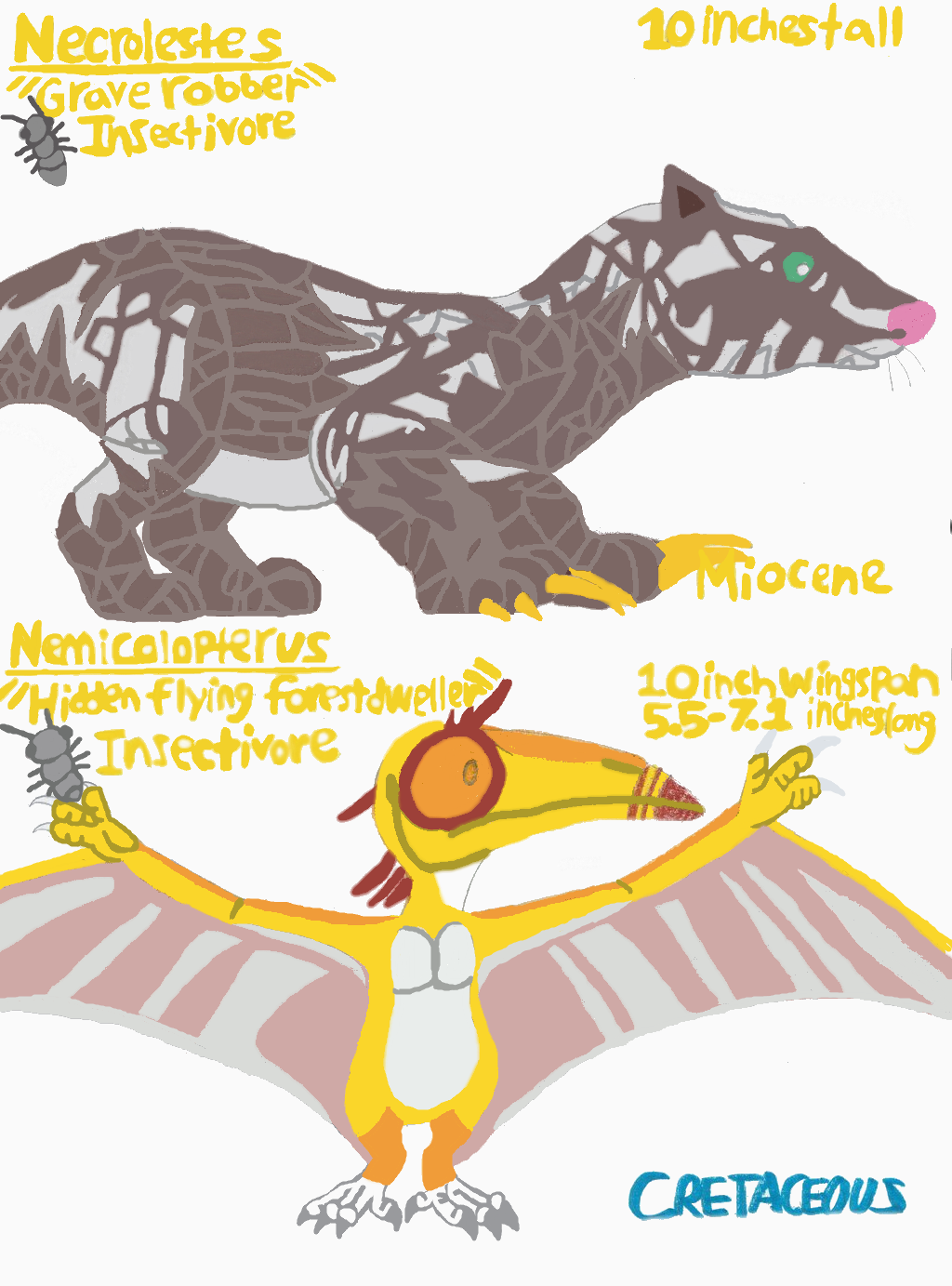 Necrolestes and Nemicolopterus by tcr11050 on DeviantArt