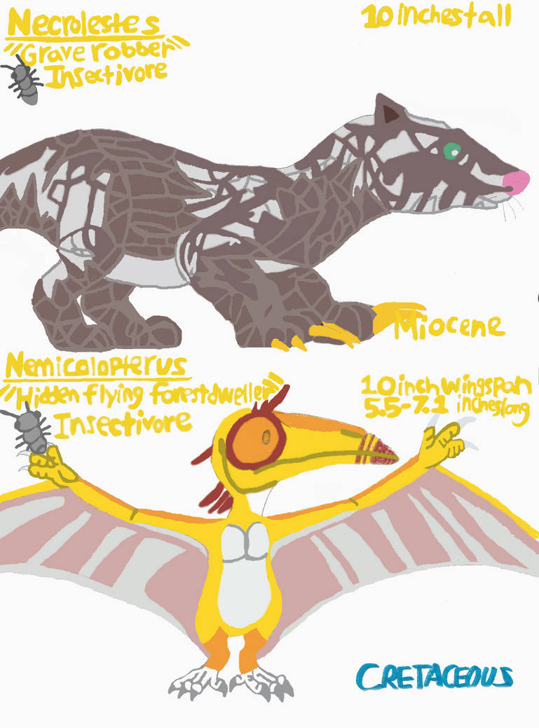 Necrolestes and Nemicolopterus by tcr11050 on DeviantArt