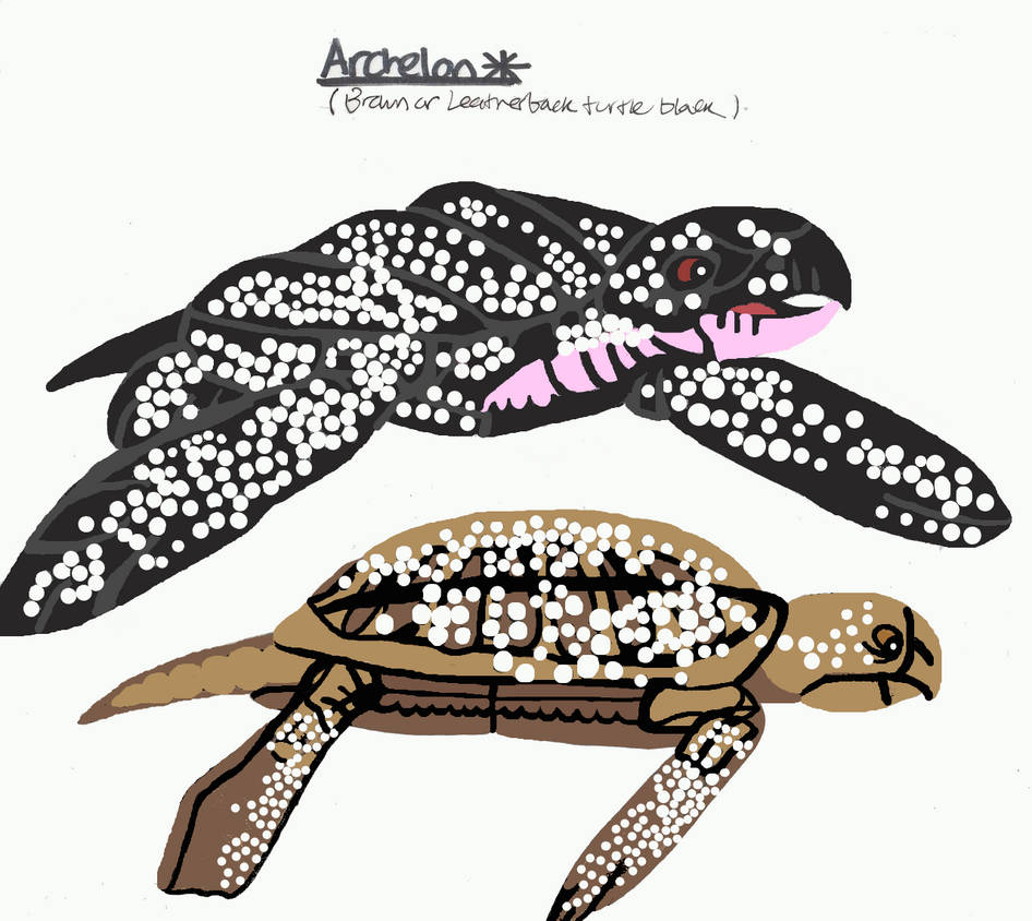 Archelon 3 by tcr11050 on DeviantArt