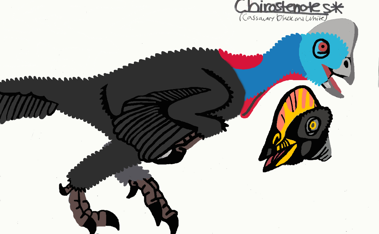 Chirostenotes 2 by tcr11050 on DeviantArt