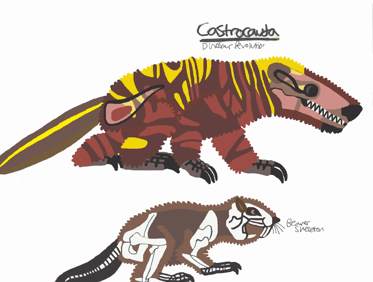 Castrocauda 2 by tcr11050 on DeviantArt