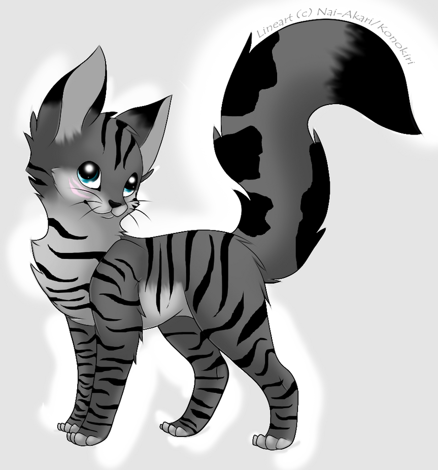 Wolfpaw by SkrillyKitty1233 on DeviantArt