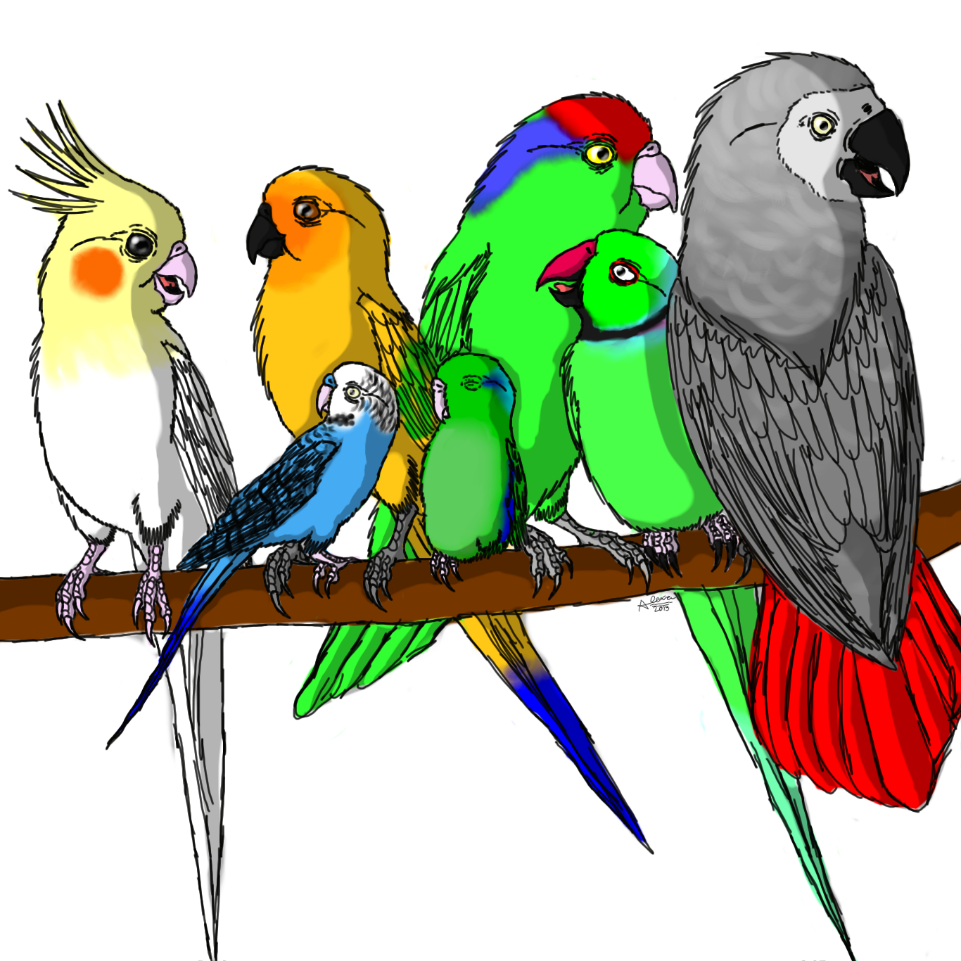 Parrots Montage by bleachbirdgirl360 on DeviantArt
