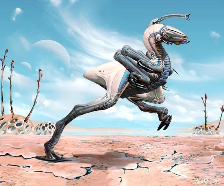 macgobhain's DeviantArt favourites