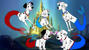 My Little Mer-Animal FIM cast 16 by RowserlotStudios1993 on DeviantArt