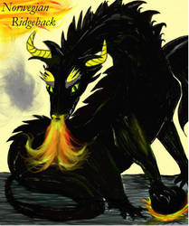 #norwegianridgeback | Explore norwegianridgeback on DeviantArt