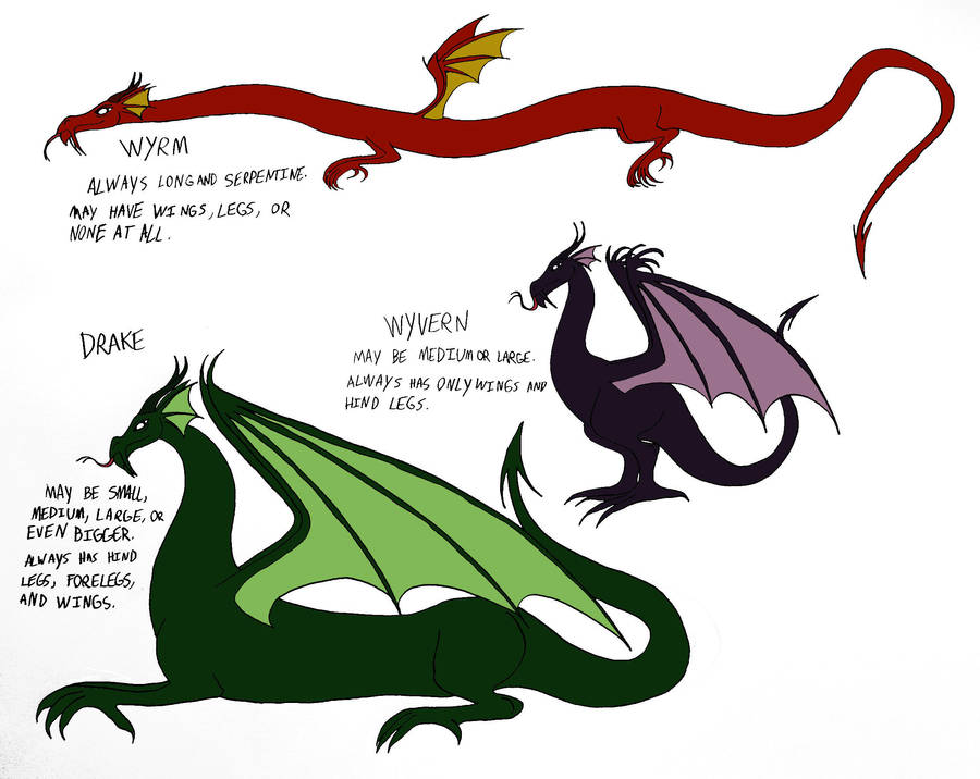 Different types of Dragons by Jakegothicsnake on DeviantArt