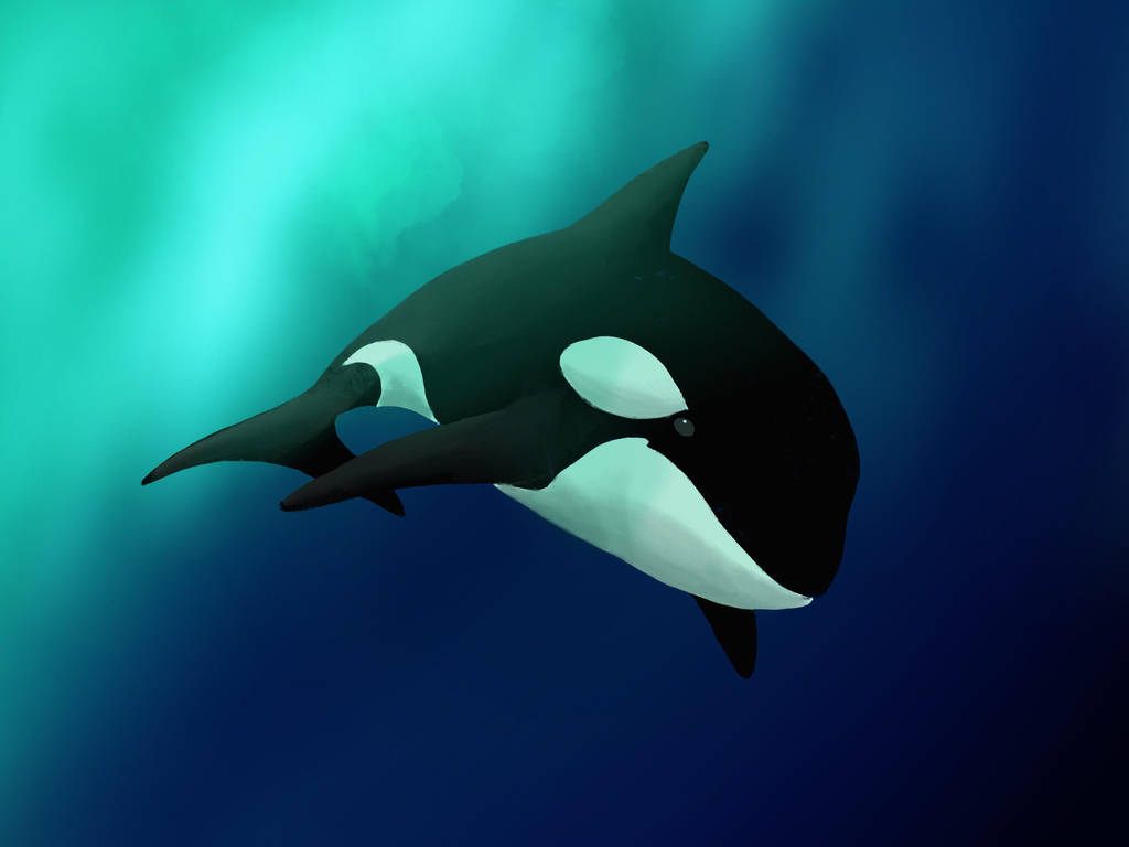 Nutcasefriend (Matilda) | DeviantArt