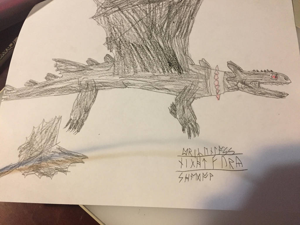 HTTYD Night Fury: Shadow! by TheDaybringer on DeviantArt