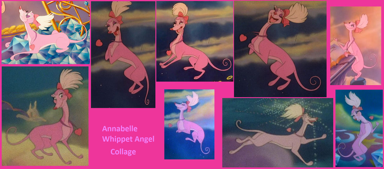 ADGTH Annabelle Whippet Angel collage by RowserlotStudios1993 on DeviantArt