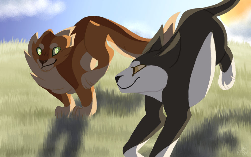Tallstar and Jake (Warrior Cats) by QHoot on DeviantArt