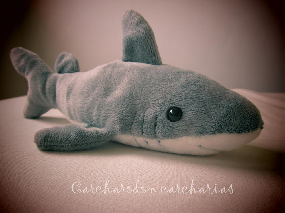 Sharky Plush by SharkSmirk on DeviantArt