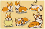 corgi by Synthucard on DeviantArt