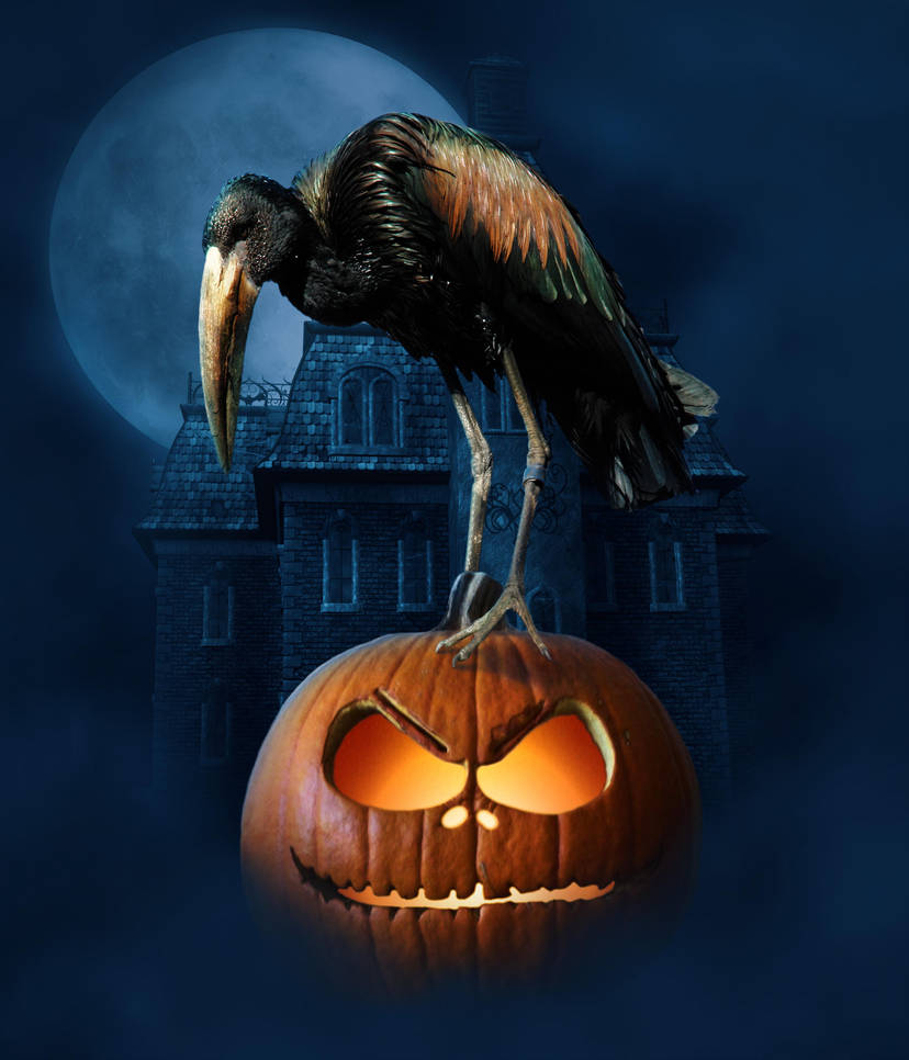 Creepy Bird by archistock on DeviantArt