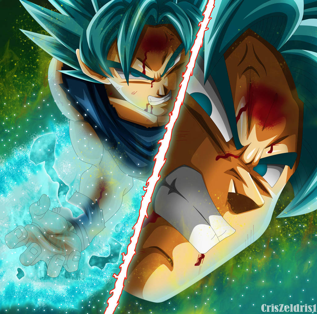 Goku Hakai DBS by CrisZeldris1 on DeviantArt